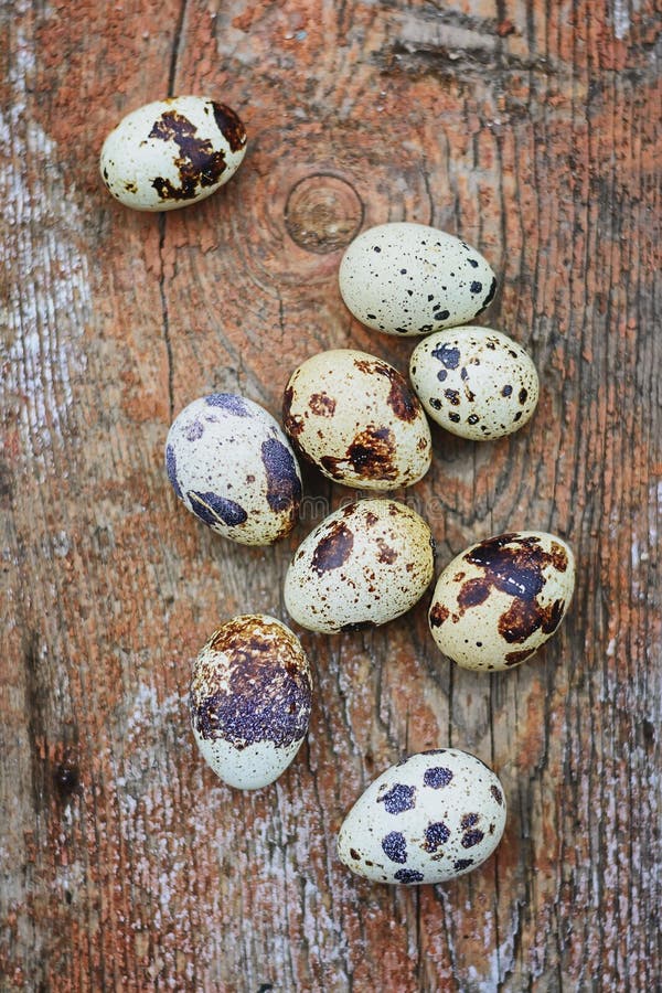 Quail Eggs on a Wooden Board Stock Photo - Image of diet, closeup: 69307210
