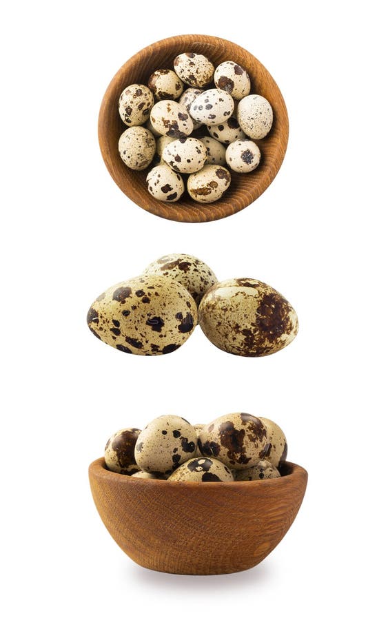 Quail Eggs in Wooden Plate Isolated on White Background. Small Quail ...