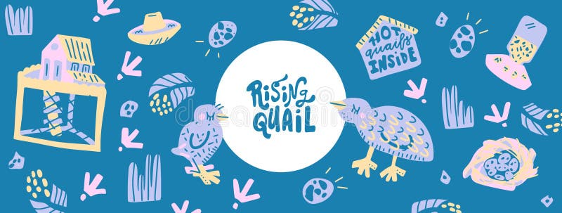 Quail Farming Hand Drawn Vector Set Stock Vector - Illustration of ...