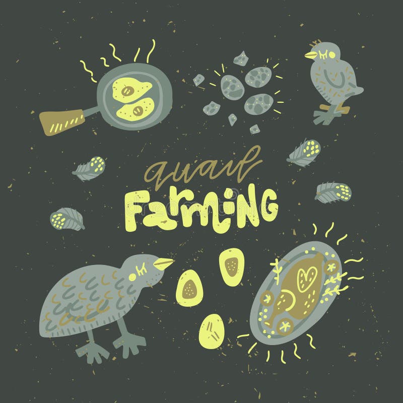 Quail Farming Hand Drawn Vector Set Stock Illustration - Illustration ...