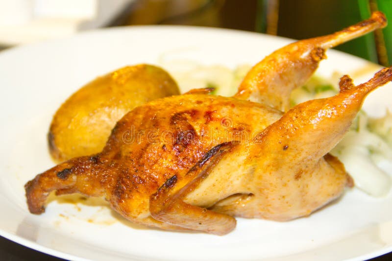 Quail stock photo. Image of onions, plate, dish, fire - 60021444