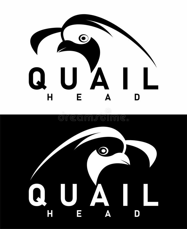 Quail Head Bird Logo Brand Design Vector Stock Vector - Illustration of ...