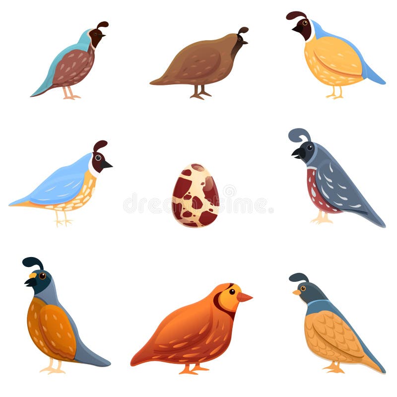 Quail Stock Illustrations – 50,197 Quail Stock Illustrations, Vectors ...