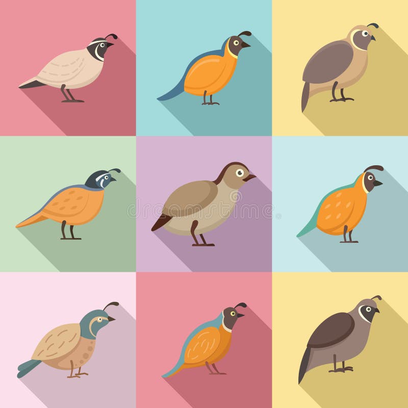 Bobwhite Quail Silhouette Stock Illustrations – 2 Bobwhite Quail ...