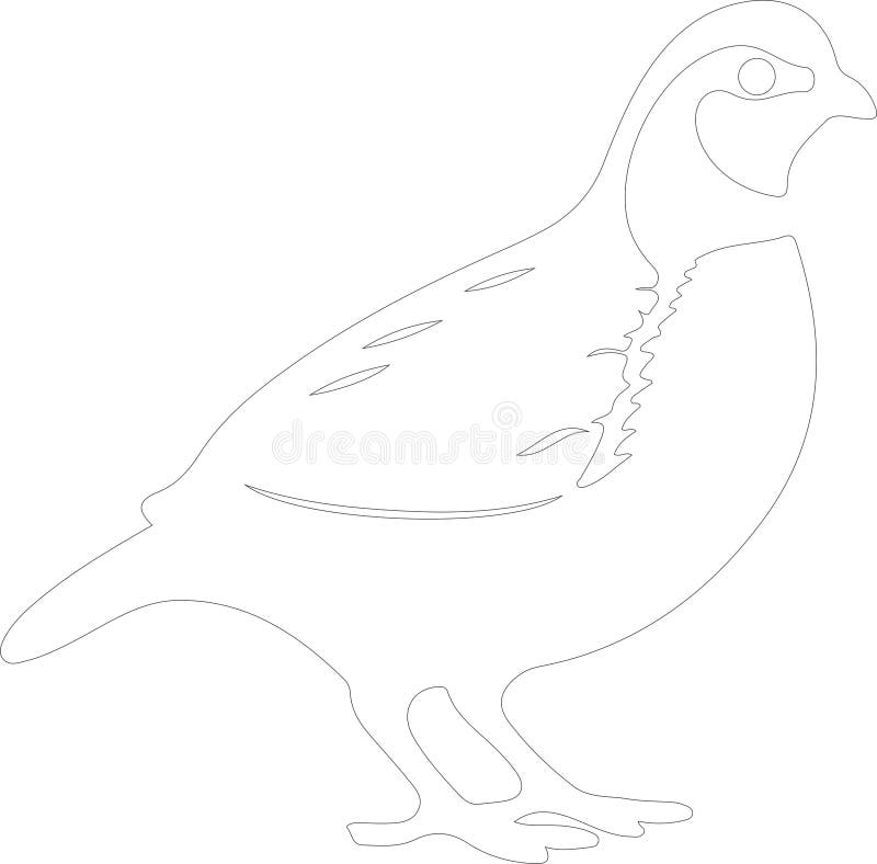 Quail Outline Silhouette Generative Ai Stock Vector - Illustration of ...