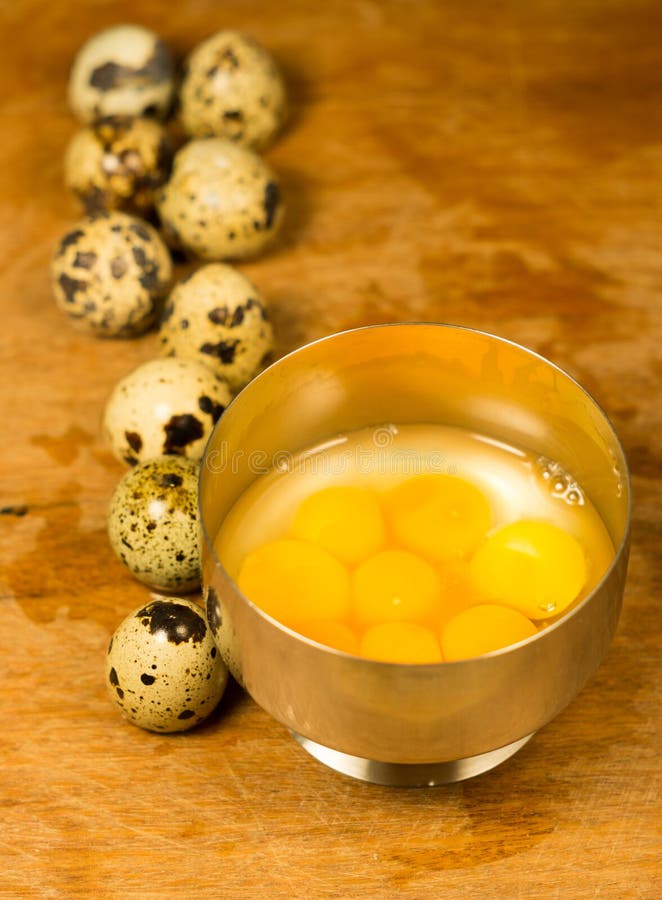 Partridge eggs stock image. Image of diet, food, plate - 11333489