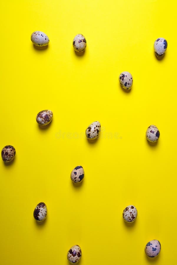 Quail Raw Eggs in Egg Shell on Yellow Surface Stock Photo - Image of ...