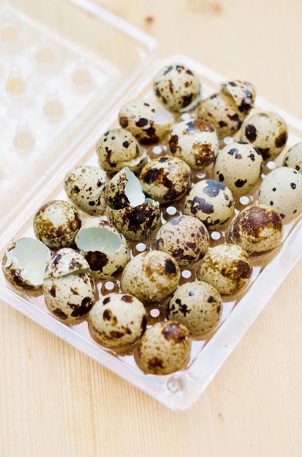 Quail and shell eggs stock image. Image of cholesterol - 28557393