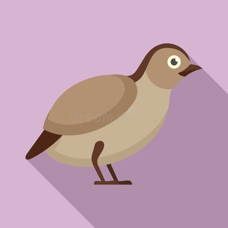 Quail Wild Icon, Flat Style Stock Vector - Illustration of wildfowl ...