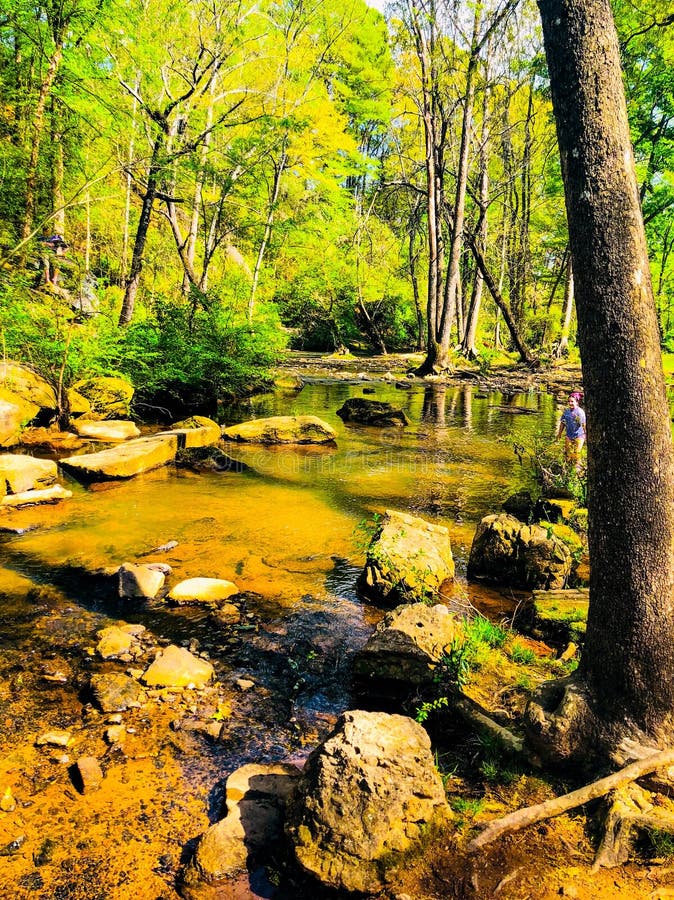 Quaint River View editorial stock photo. Image of leaves - 118382563