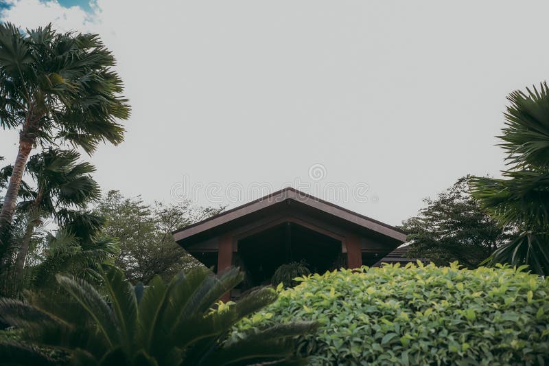 Quaint Two-story House Surrounded by Lush Greenery of Trees and ...