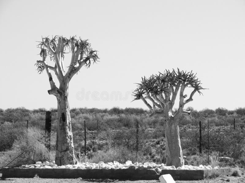 Drbranlong - Photographer profile