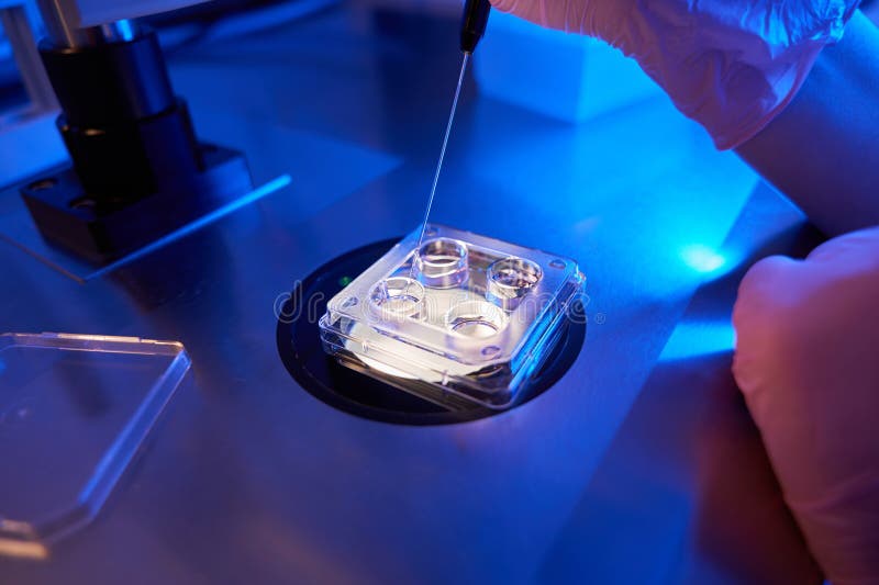 Qualified Lab Researcher Collecting Specimens for Storage Stock Image ...