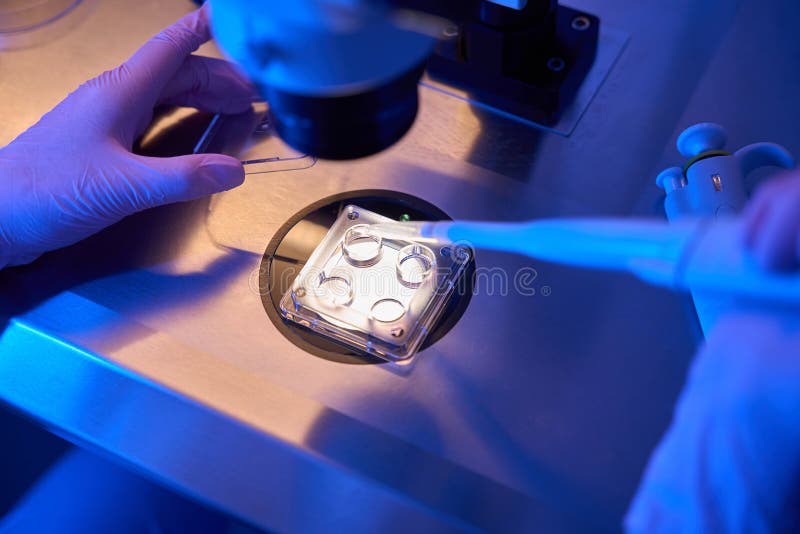 Qualified Lab Scientist is Preparing Specimens for Microscopic ...