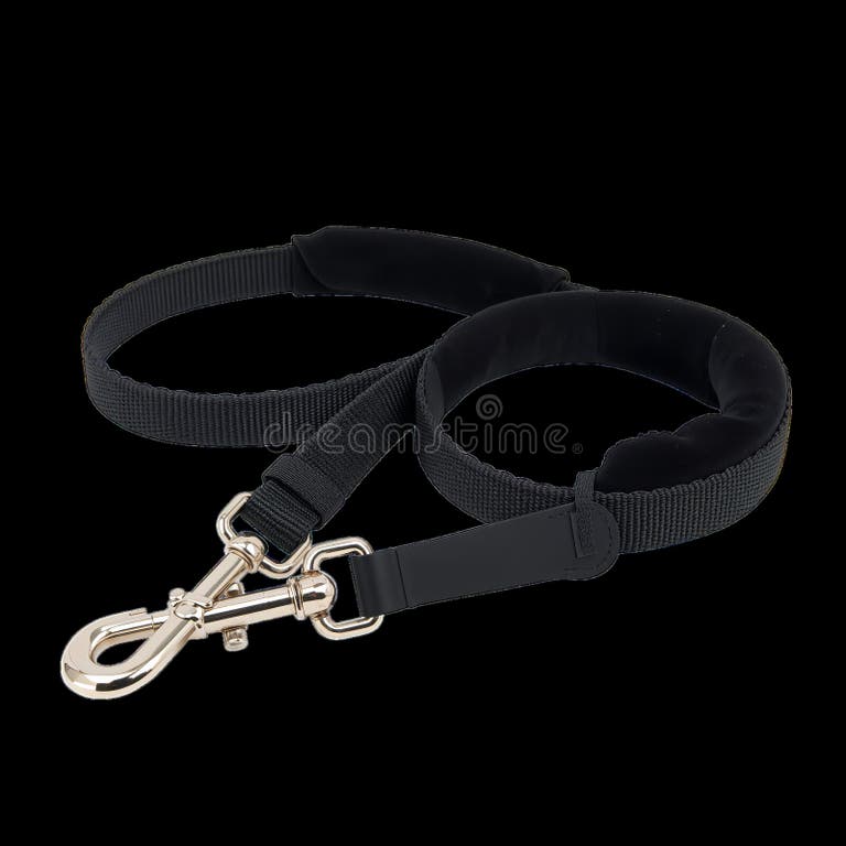 7,296 Quality Black Dog Stock Photos - Free & Royalty-Free Stock Photos ...