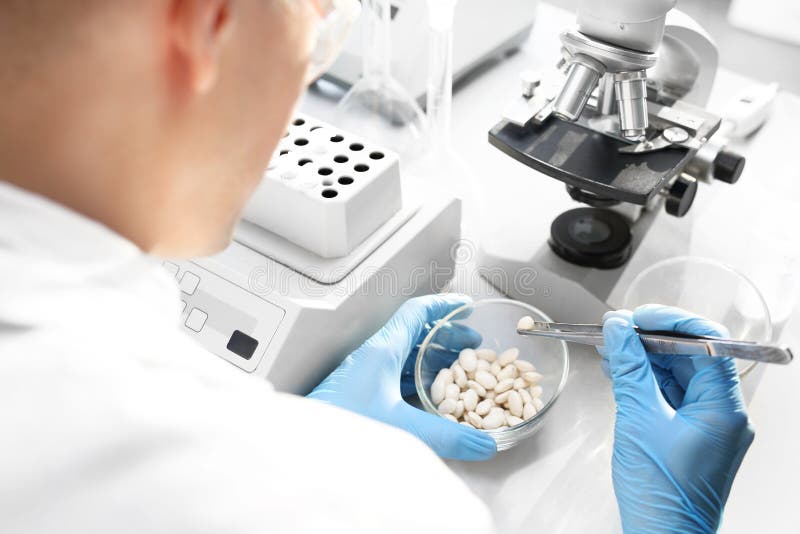 Quality Control. Examination Under a Microscope. Stock Image - Image of ...