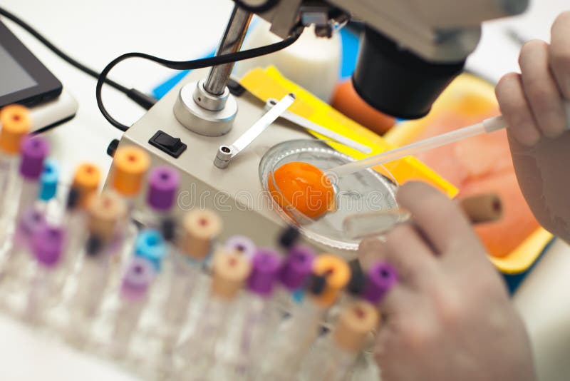 Eggshell Microscope Stock Photos - Free & Royalty-Free Stock Photos ...