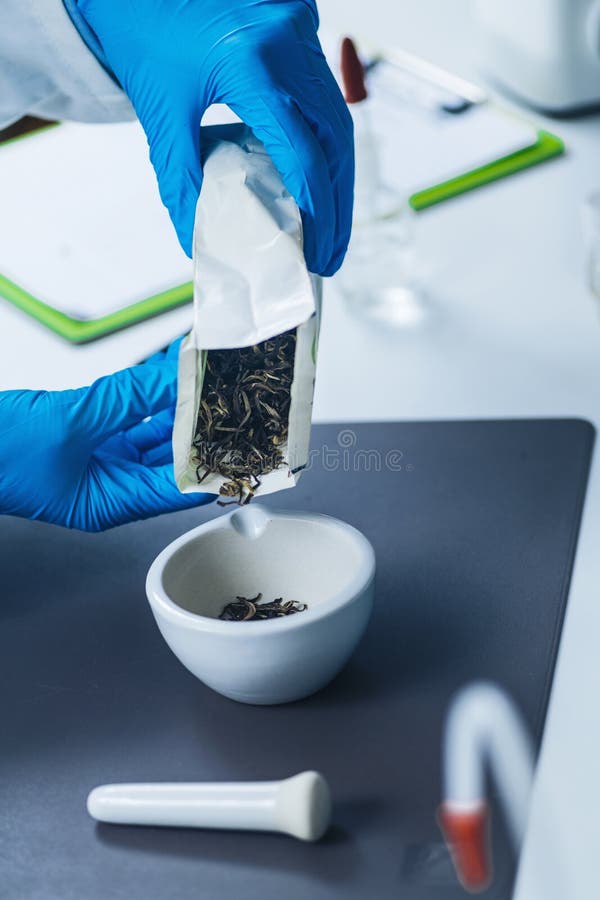 Quality Control of Herbal Tea, Test for Presence of Pesticides Stock ...