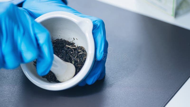 Quality Control of Herbal Tea, Test for Presence of Pesticides Stock ...