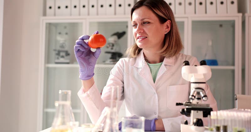 Quality Control of Orange Fruit Samples in Laboratory Analysis Stock ...