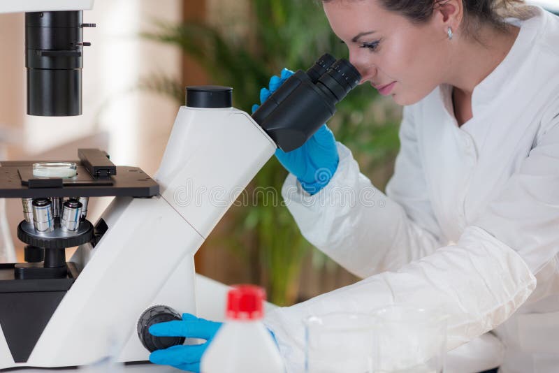 A Quality Control Specialist Inspects Milk Samples Under a Microscope ...