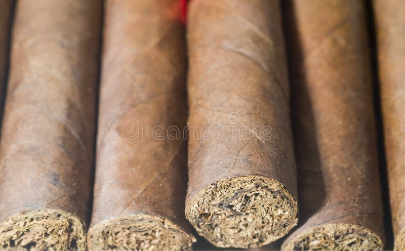 Hand Made Cigars in Press Stor Stock Image - Image of luxury, dominican ...