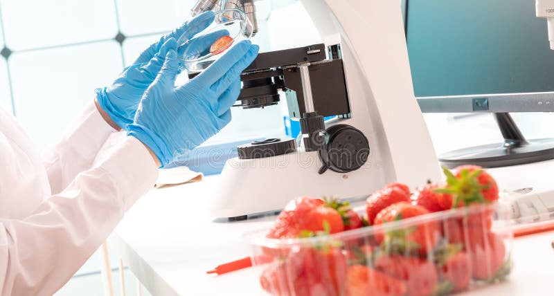 Quality Inspection of Food Checking the Content of Nitrates and ...