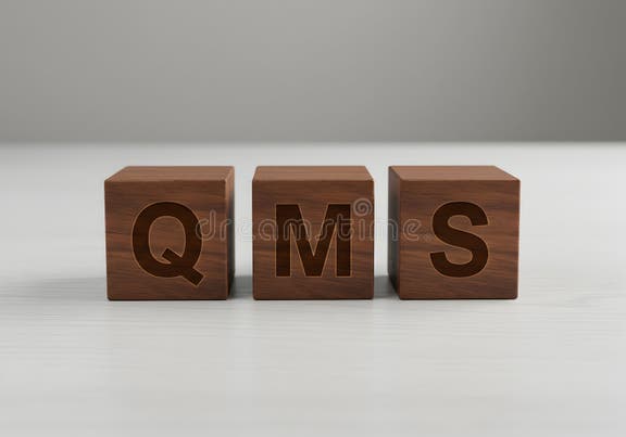 Quality Management System Qms Iso Certification Process Improvement ...