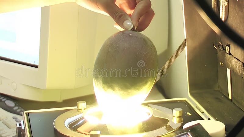 Quality Test in Mango with a Industrial Machine by Rays Stock Video ...