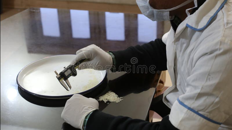 Rice quality test stock image. Image of hand, measuring - 54747021