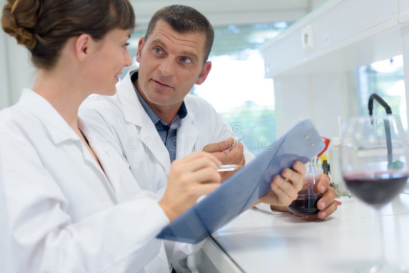 Quality Wine Control Professional Working Stock Image - Image of ...