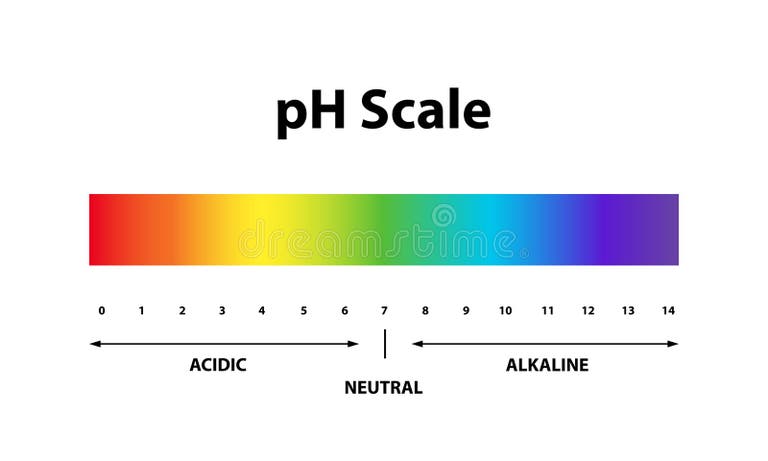 Ph Level Chart Stock Illustrations – 208 Ph Level Chart Stock ...