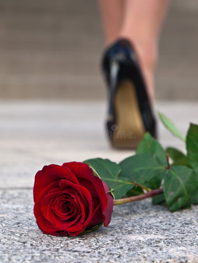 Quarrel stock photo. Image of people, beauty, problems - 10367470