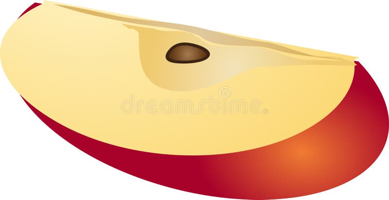 Quarter apple stock vector. Illustration of isometric - 3006279