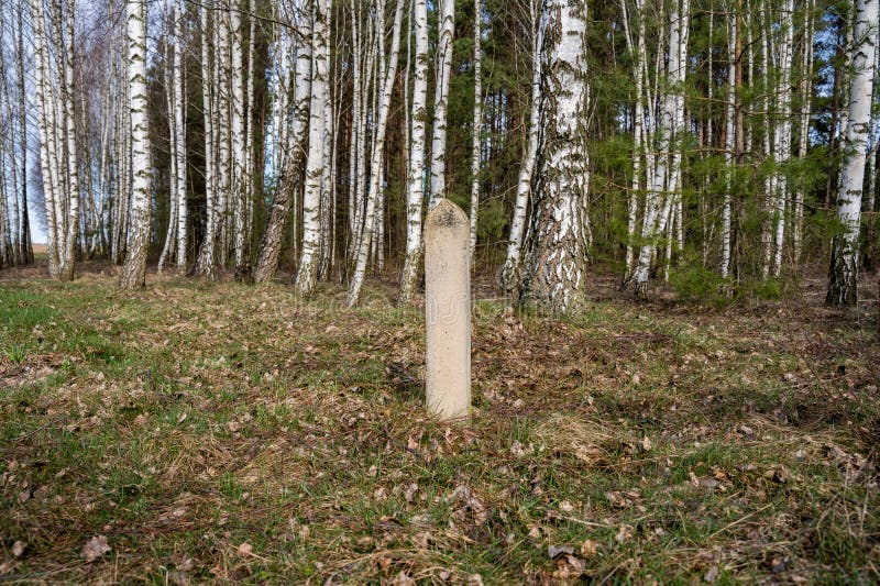 Quarter Pillar on the Background of the Forest Stock Photo - Image of ...