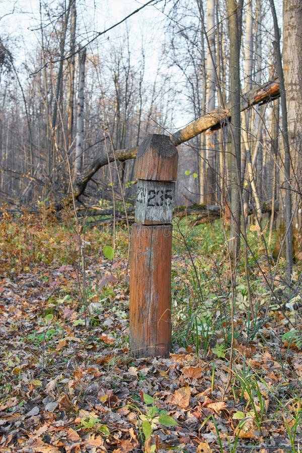 Quarter pillar stock photo. Image of foliage, fall, russia - 232321130