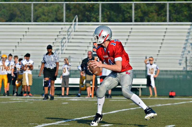 Quarterback Ready to Pass editorial stock image. Image of recreation ...
