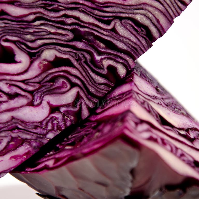 Quarters of a red cabbage stock photo. Image of food - 66470148