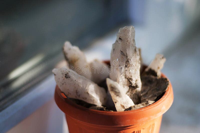 Quartz Stones in a Flower Pot on the Window Stock Photo - Image of ...
