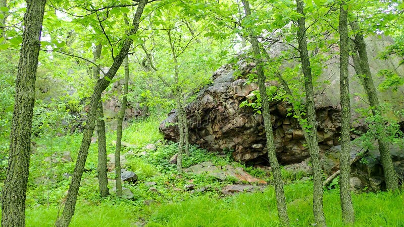 Quartzite Boulder among Trees at Blue Mound State Park Stock Image ...