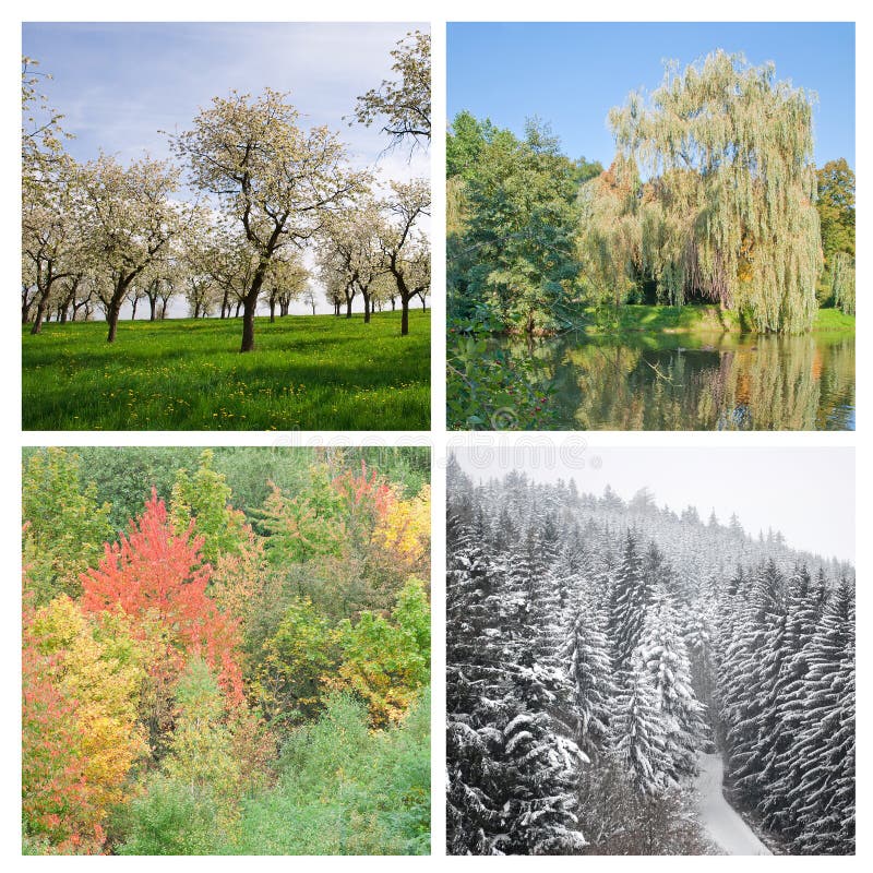 Collage Nature Des Quatre Saisons Image stock - Image du collage ...