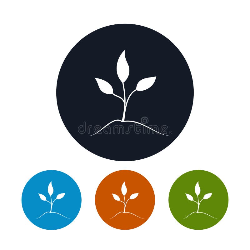 Quatre Types De Pousse Ronde D'icônes Illustration de Vecteur ...