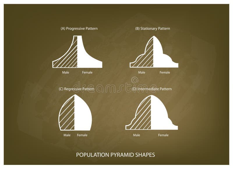 Quatre Types De Pyramides De Population Sur Le Fond De Tableau ...
