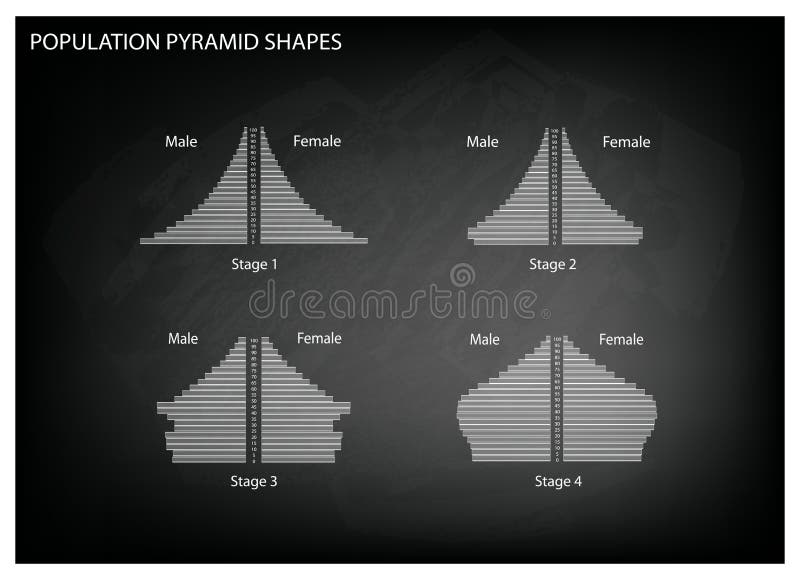 Quatre Types De Pyramides De Population Sur Le Fond De Tableau ...