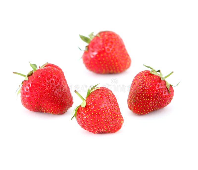 Quatro morangos foto de stock. Imagem de grupo, sobremesa - 15213784