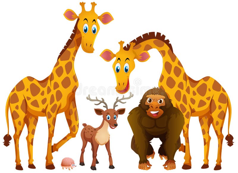 Quatro tipos de animais ilustração do vetor. Ilustração de recorte ...