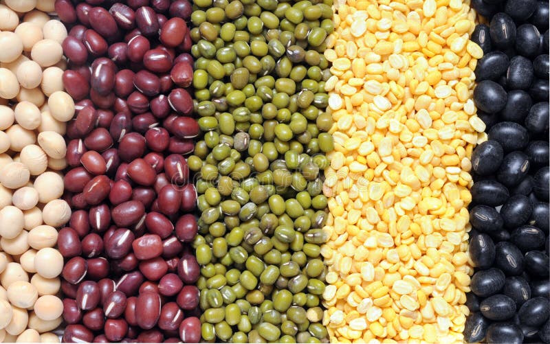 Quattro Tipi Di Fagioli Foto stock - Foto stock gratuite e royalty free ...