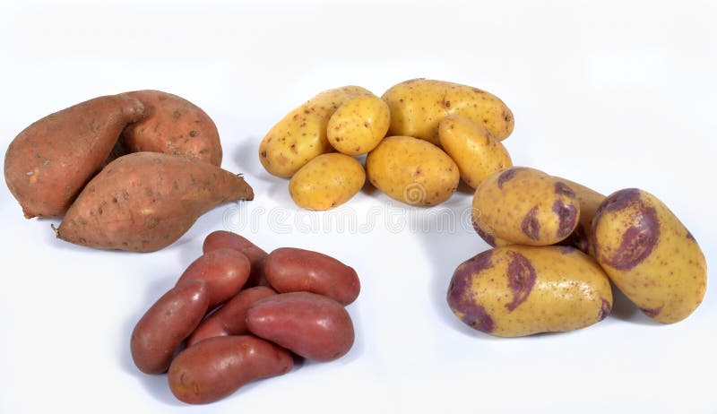 Quattro varietà di patate immagine stock. Immagine di commestibile ...