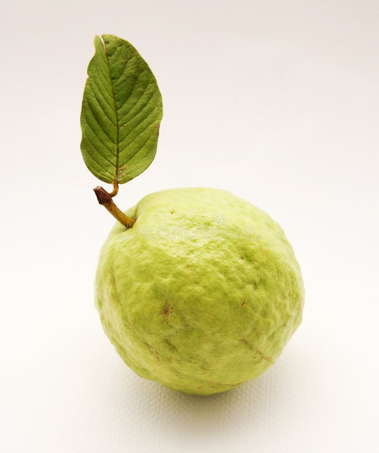 Quava green stock photo. Image of acid, psidium, omega - 27400662