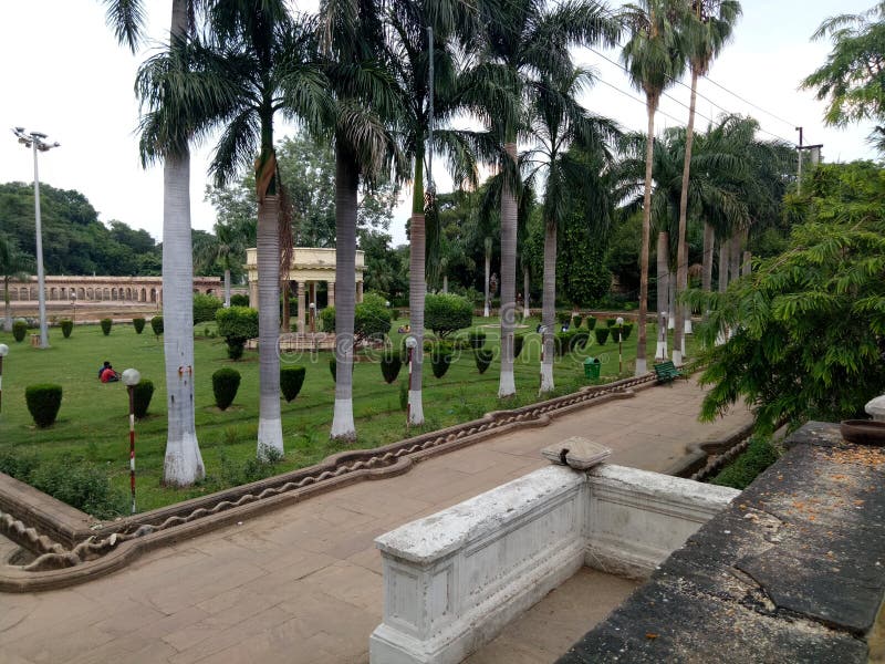 Queue of Trees stock image. Image of nature, tree, famous - 136946307